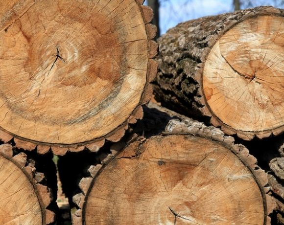 Օրվա լրահոսը | Առավոտ - Լուրեր Հայաստանից